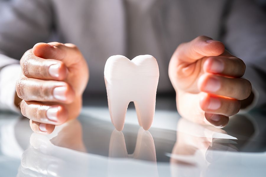 Understanding Your Teeth – What Makes Up a Healthy Tooth | Dream Dental ...
