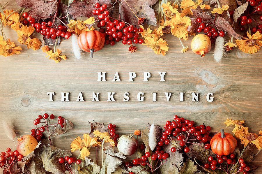 Thanksgiving Tooth Care Tips | General and Cosmetic Dentist Tampa FL