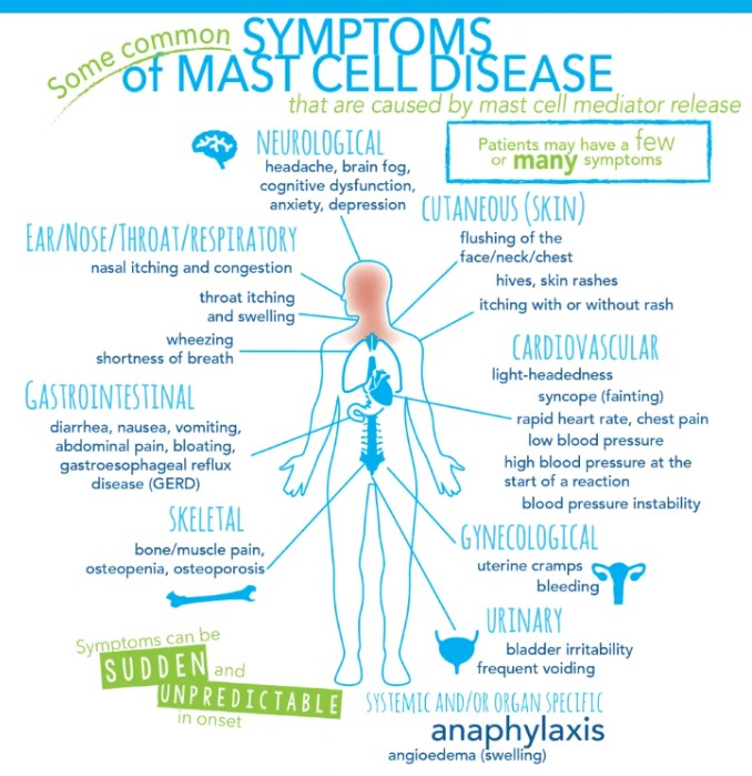 Mass Cell Activation Syndrome | Seattle Dental Care Seattle, WA
