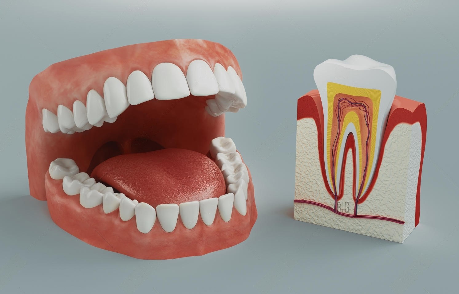 Holistic Dentist | Seattle Dental Care - Biological Dental Care