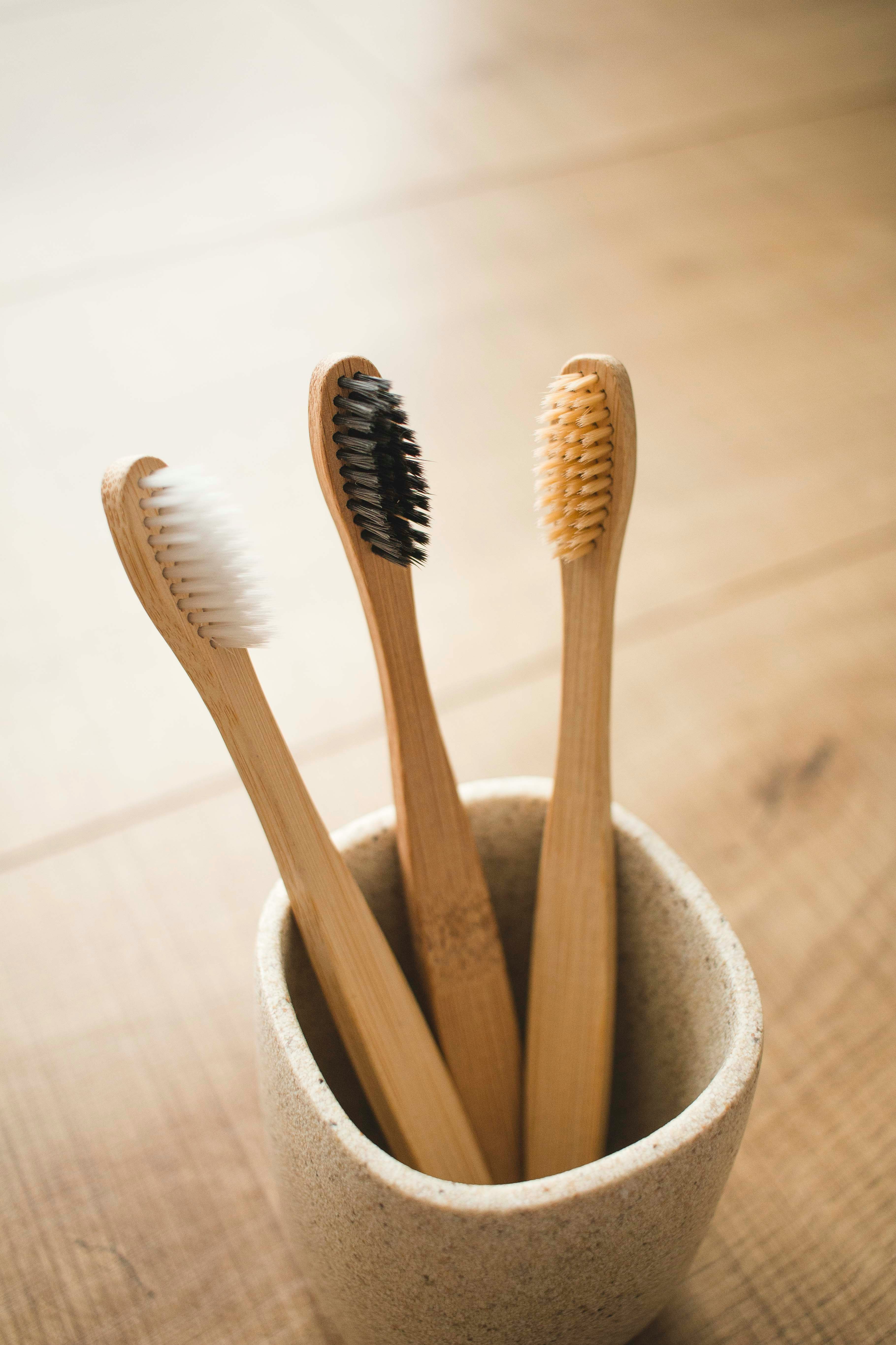 A Holistic Approach to Oral Care | Seattle Dental Care