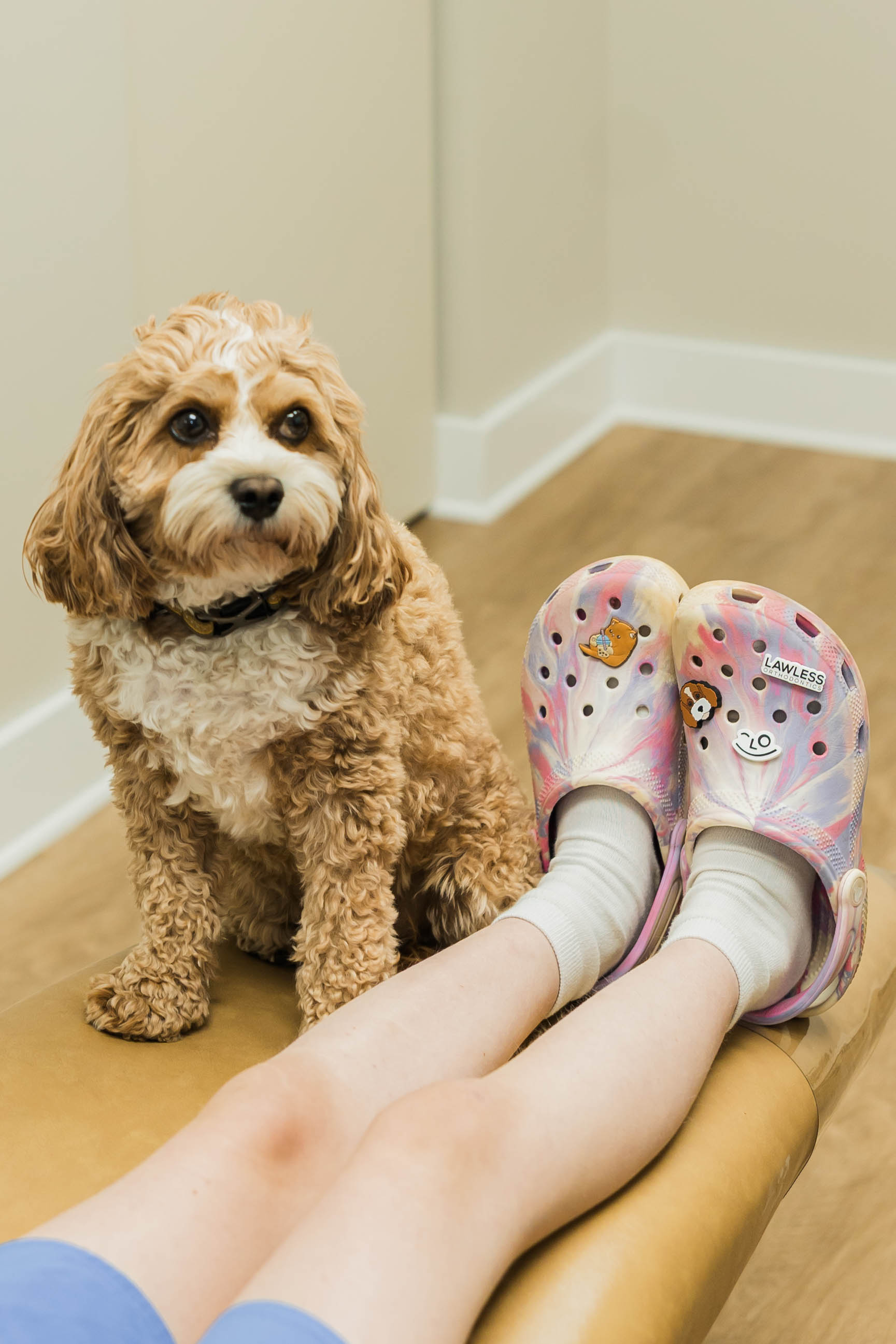 The Lawless Pup Club | Lawless Orthodontics Bowling Green, KY & Glasgow ...