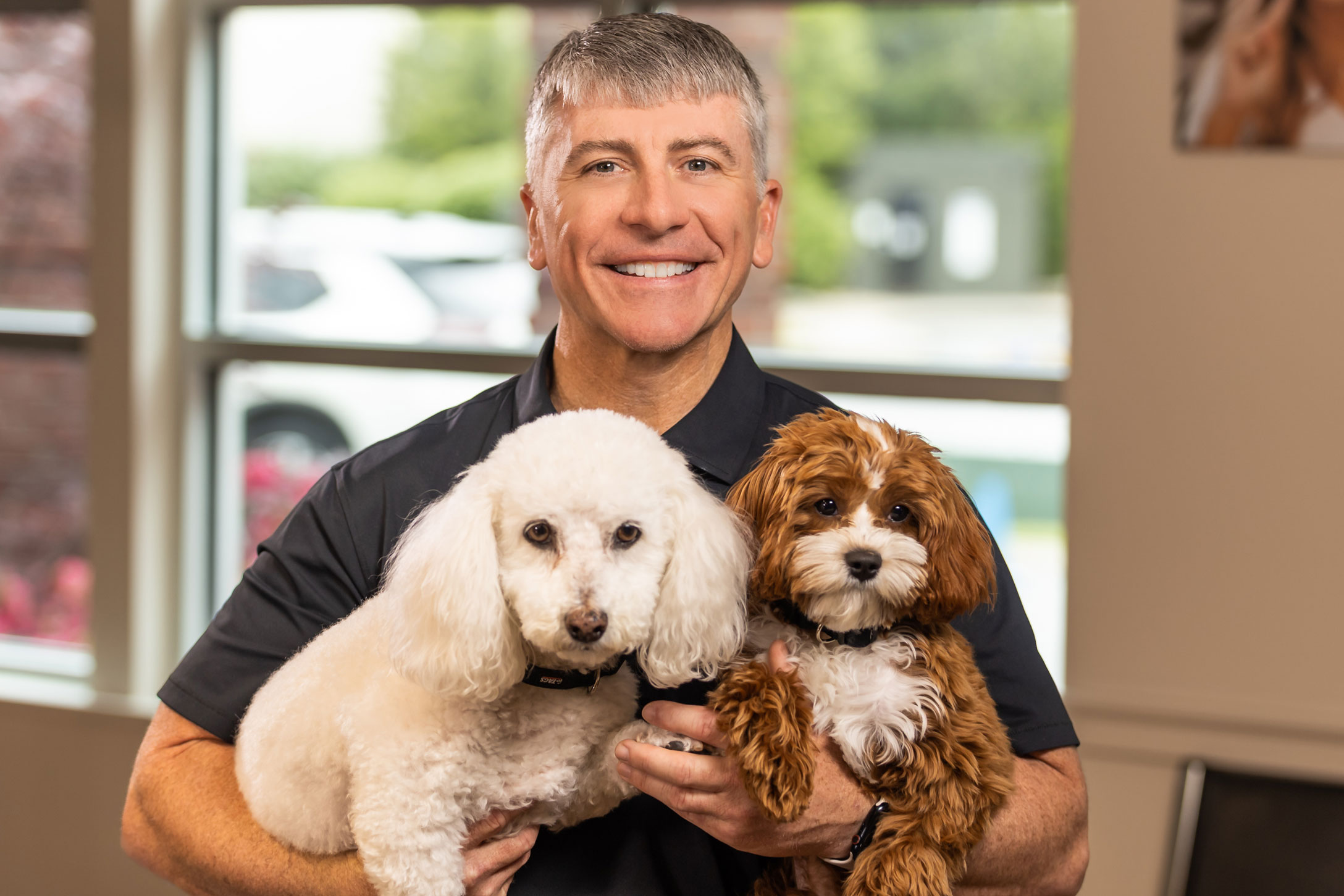 Meet Rocky and Bo | Lawless Orthodontics Bowling Green, KY & Glasgow ...